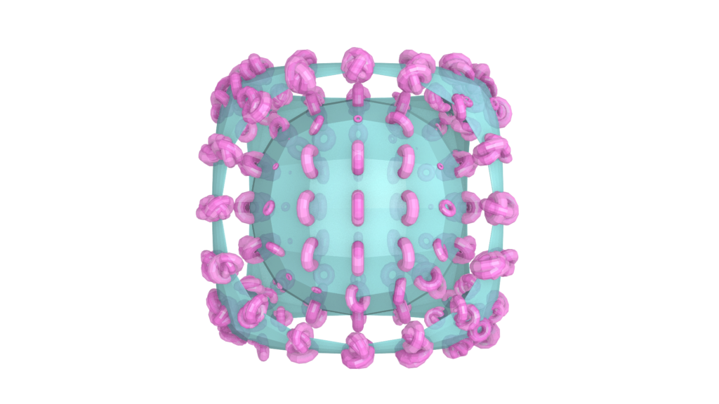 What does a holor look like? - Heurist.org